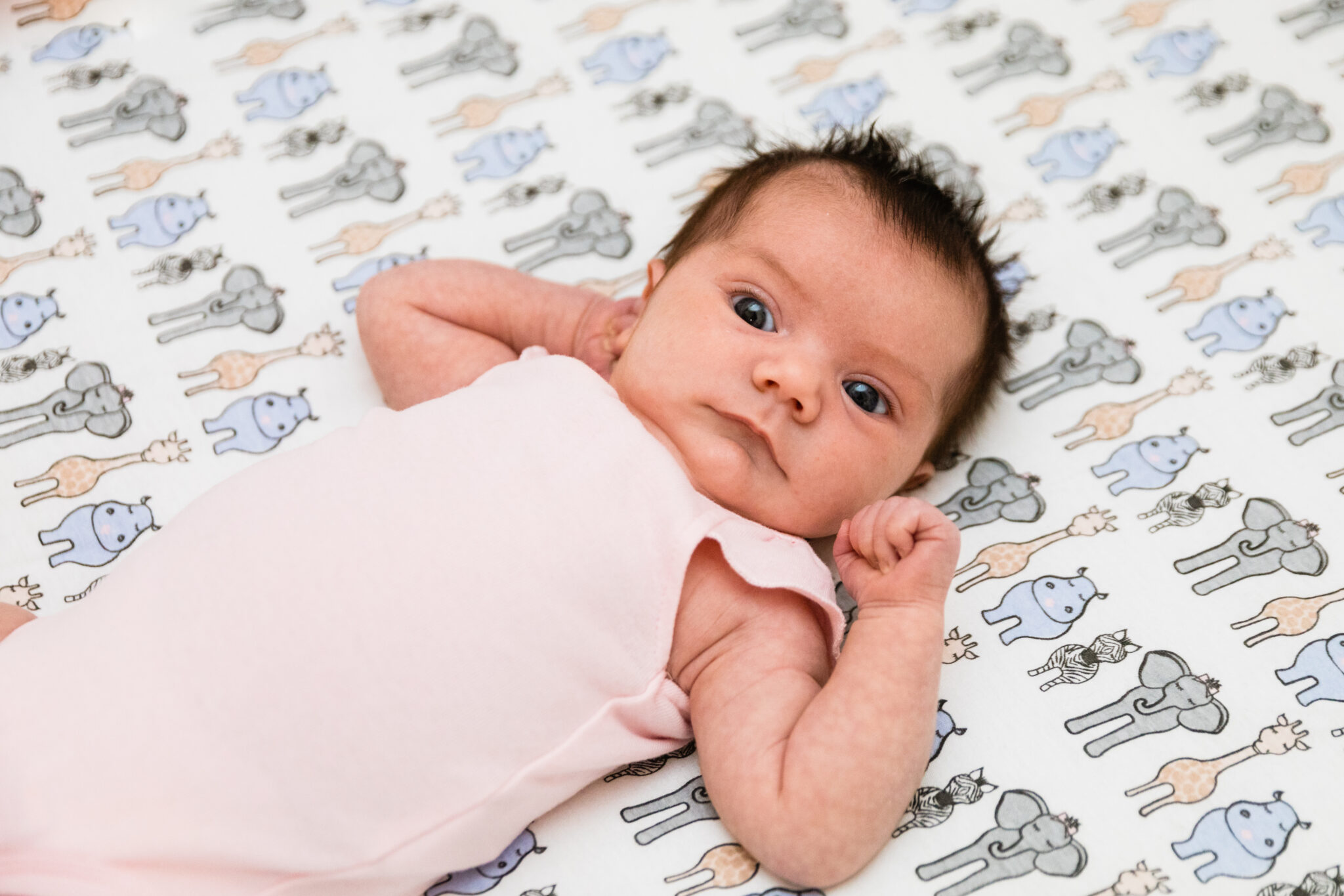 In Home Newborn Session | PMA Photography