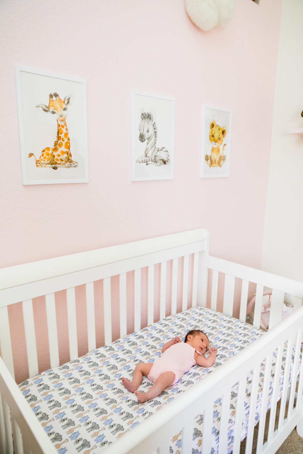 In Home Newborn Session | PMA Photography