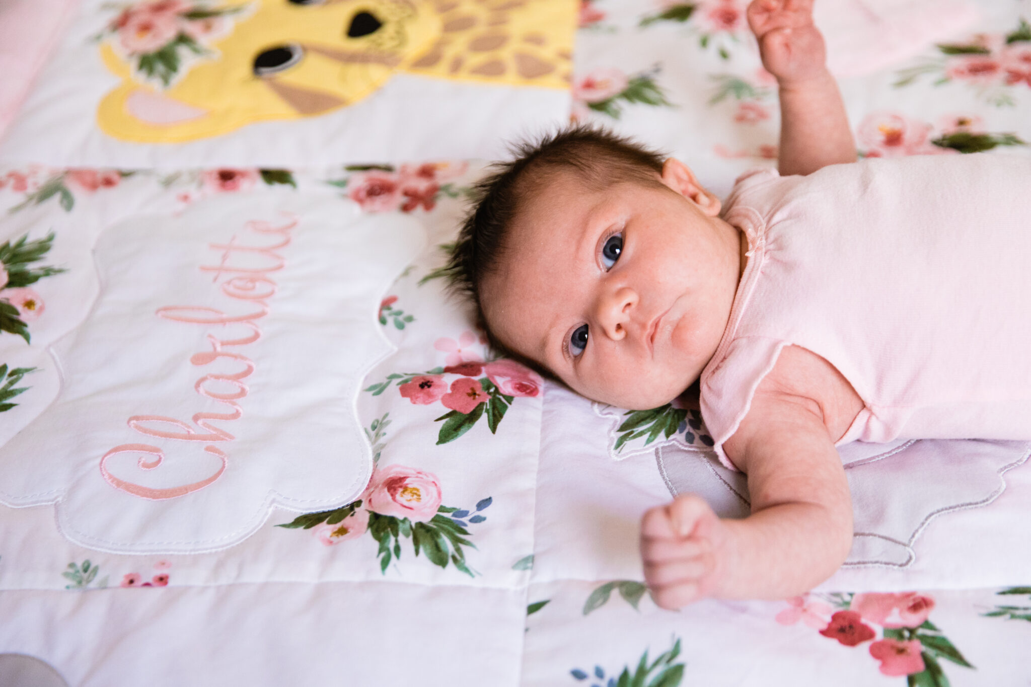 In Home Newborn Session | PMA Photography